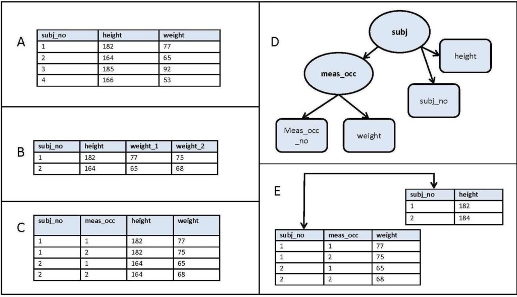 Data Organization | DataWiz